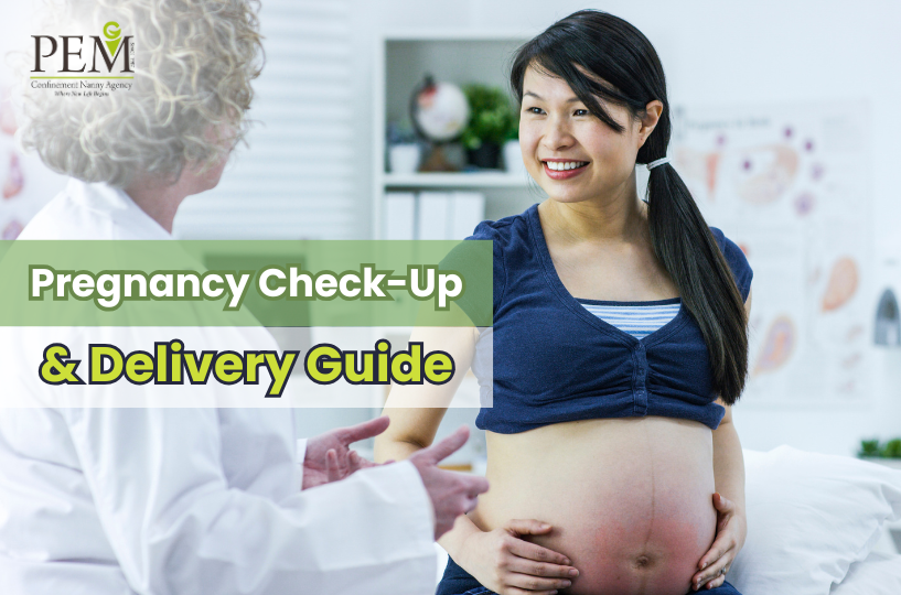 Pregnancy Check-Up & Delivery Guide