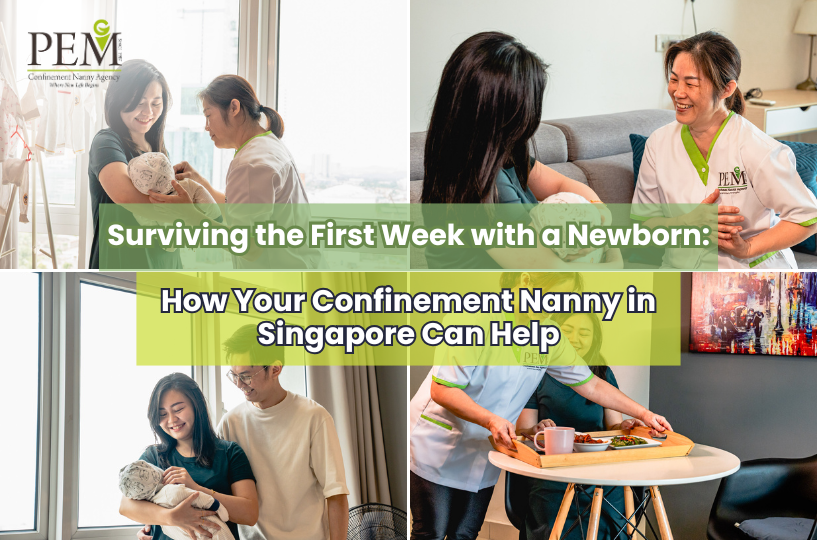 Surviving the First Week with a Newborn: How Your Confinement Nanny in ...
